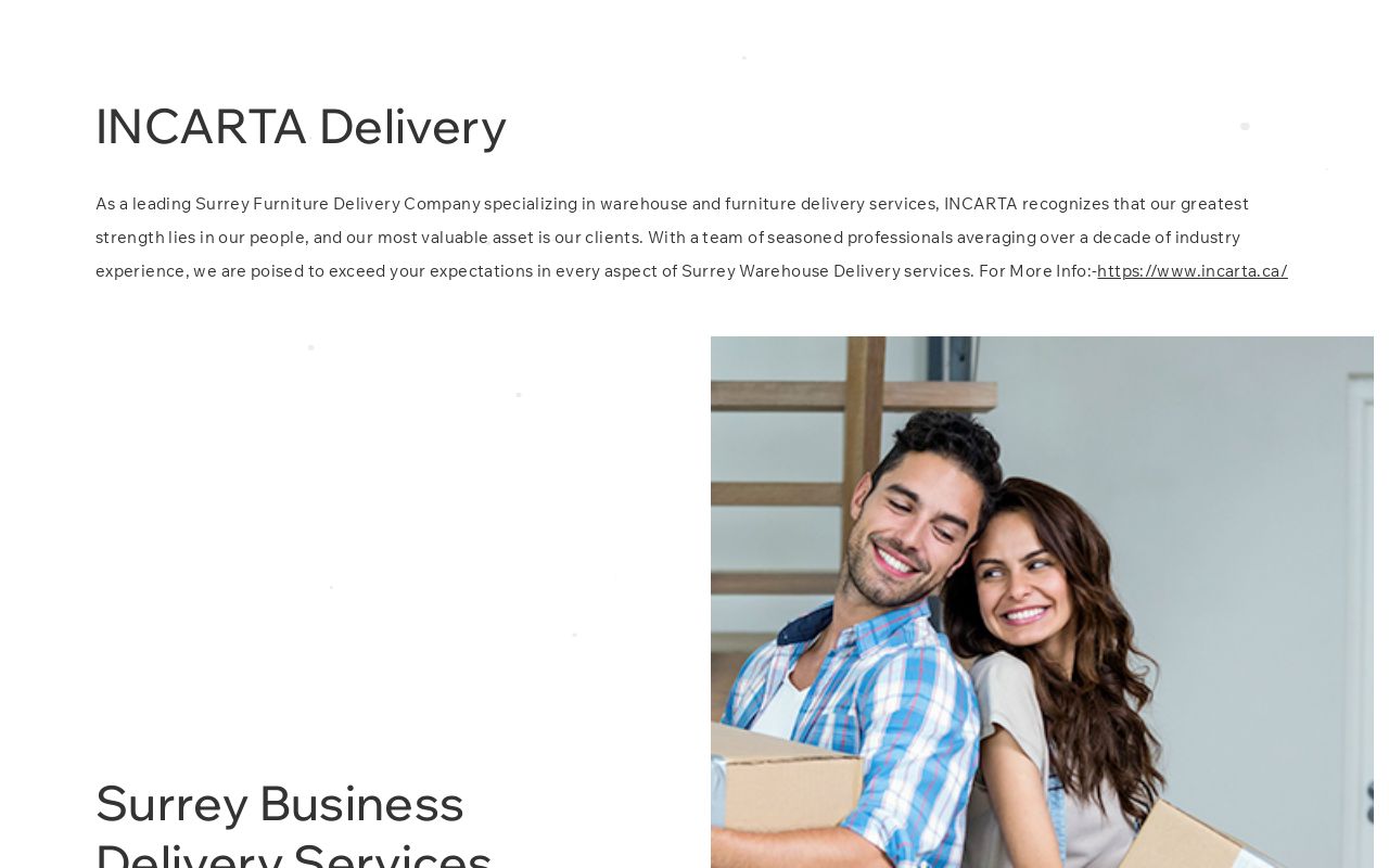 Surrey Business Delivery Company